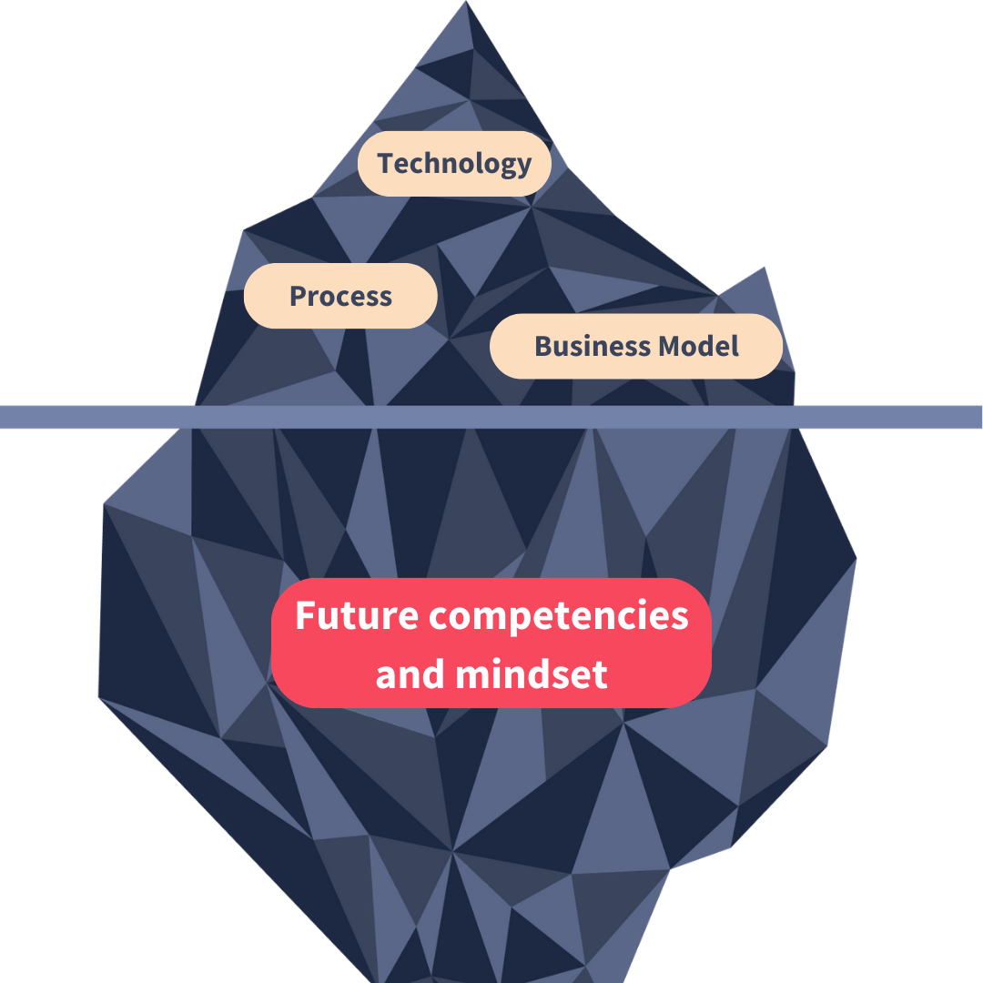 Julian Knorr about the “mindset navigator” and the “iceberg of ...